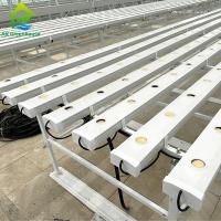China Vertical Farming Soilless Cultivation Hydroponic NFT Square Pipe System for sale