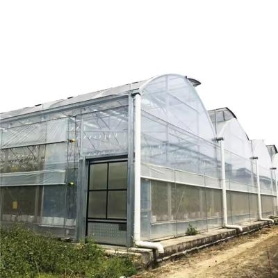 China Agricultural Polyhouse Multi-span Plastic UV Film Greenhouse Drying House For Flowers for sale
