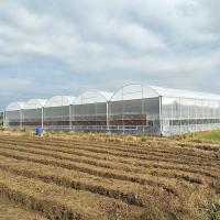 China Agricultural Polyhouse Multi-span Plastic UV Film Greenhouse Drying House For Flowers for sale