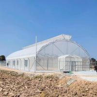 China Plastic Polytunnel Plastic Film Hot House Serre Agricole Agricultural Tunnel Greenhouse for sale