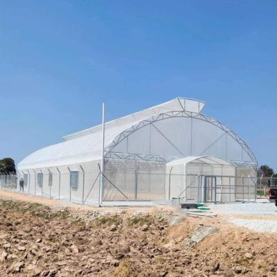 China Plastic Polytunnel Plastic Film Hot House Serre Agricole Agricultural Tunnel Greenhouse for sale