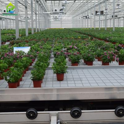 China Agricultural Soilless Culture Hydroponic Greenhouse Rolling Bench Grow Table Innovative Mesh for sale