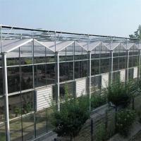 China Snow Resistant Luxury Multi-span Agricultural Venlo Glass Greenhouse For Vegetable Growing for sale