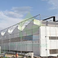 China Agricultural Plastic Film Customized Multi-span Greenhouse With Shade Net for sale