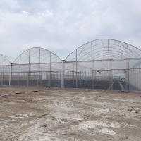China Hot Galvanized Steel Structure Multi-Span Plastic Film Custom Greenhouse with Tropical Top Ventilation Sawtooth Design for sale