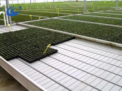 China Greenhouse Rolling Benches Grow Table for Tomato Plant Seedling Ebb And Flow Irrigation System for sale
