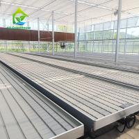 China Durable Hydroponic Greenhouse Ebb Flow Tray Seedbed Grow Table Rolling Bench for sale
