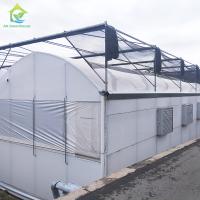 China Automated Blackout Multi-span Light Deprivation Mushroom Greenhouse for sale
