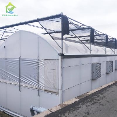 China Durable Galvanized Steel Blackout Light Deprivation Agricultural Greenhouse for sale