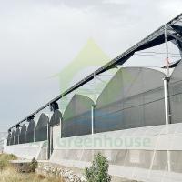 China Automated Blackout Multi-span Light Deprivation Mushroom Greenhouse for sale