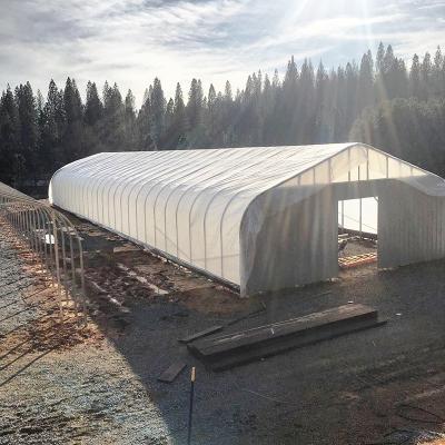 China Large Tunnel Blackout Polyhouse Light Deprivation Agricultural Greenhouse for sale
