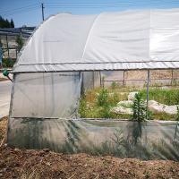 China Plastic PE Film Low Tunnel Poly House Agricultural Greenhouse For Tomato for sale