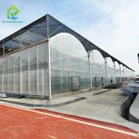 China Commercial Customized Multi Span Agricultural Film Poly Tunnel Vegetable Greenhouse for sale