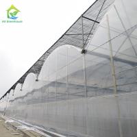 China Multi Span Plastic PE Film Agricultural Polytunnel Tomato Strawberry Greenhouse for sale