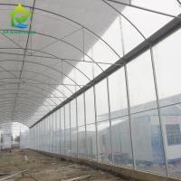 China Single Span Commercial Polytunnel Plastic Film Greenhouse Farming for sale