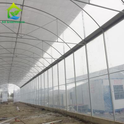 China Single Span Commercial Polytunnel Plastic Film Greenhouse Farming for sale