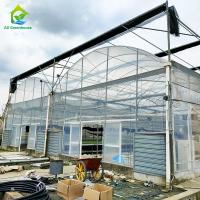 China Commercial Poly Tunnel Agricultural Multi-span Plastic Film Greenhouse for sale