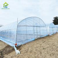 China Agricultural Plastic Film Shed Poly Tunnel Vegetable Greenhouse with Cooling / Heating / Irrigation System for sale