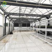 China Automated Mushroom Growing Light Deprivation Blackout Agricultural Greenhouse for sale