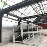China Automated Mushroom Growing Light Deprivation Blackout Agricultural Greenhouse for sale