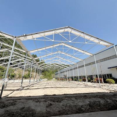 China Hot Galvanized Steel Structure Tomato Plastic Film Retractable Roof Agricultural Poly Tunnel Greenhouse for sale
