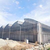 China Tropical Climate Sawtooth Poly Tunnel Plastic Film Agricultural Greenhouse for sale