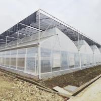 China Multi-span Large Poly Tunnel Plastic Film Tomato Hydroponic Berry Greenhouse for sale