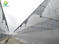 China Large Multi Span Poly Tunnel Film Agricultural Tomato Growing Greenhouse for sale