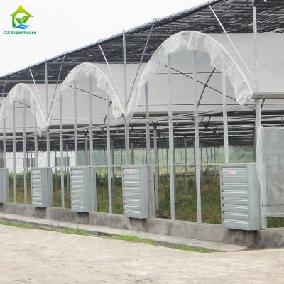 China Commercial Poly Tunnel Plastic PE Film UV Resistant Greenhouse For Tropical Climate for sale