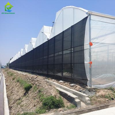 China Commercial Poly Tunnel Greenhouse For Tropical Climate With UV Resistant PE Film for sale