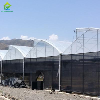 China UV Resistant PE Film Commercial Poly Tunnel Greenhouse For Tropical Climate for sale