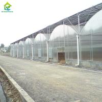 China Multi-span Agricultural Poly Tunnel Plastic Greenhouse with Steel Tructure and Irragation System for sale