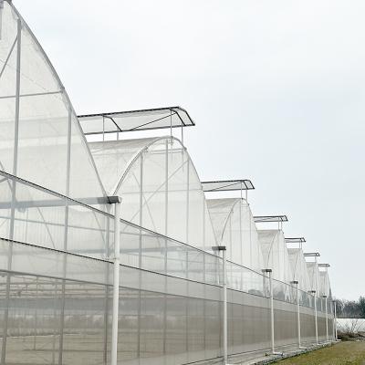 China Multi-span Agriculture Poly Tunnel Tropical Climate Film Greenhouse For Fruit for sale