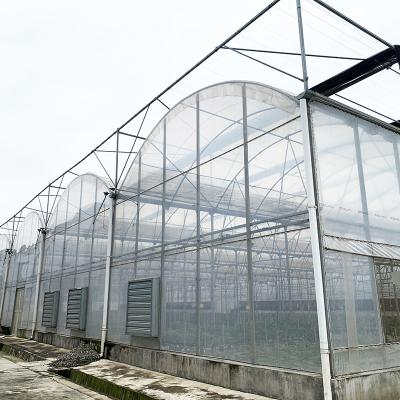 China Commercial Industrial Plastic Film Agricultural Multi-span Poly Tunnel Greenhouse for sale