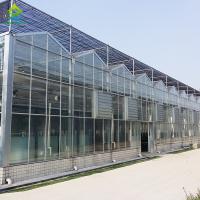 China Custom Size PC Sheet Agricultural Wind Resistant Polycarbonate Tomato Greenhouse for sale
