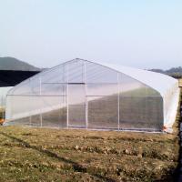 China Modern Farming Single-span Plastic PE Film Poly Tunnel Tomato Greenhouse for sale