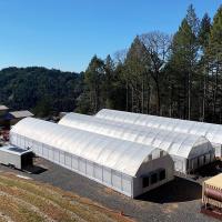 China Economical Low Cost Plastic Film Single-span Poly Tunnel Galvanized Greenhouse Tent for sale