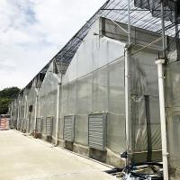 China Steel Tructure Sawtooth Poly Film Low Tunnel Agricultural Multi-span Greenhouse for Sustainable Vegetable Production for sale