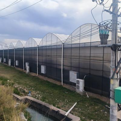 China Steel Tructure Agricultural Poly Tunnel Black Shading Multi-span Greenhouse with Optional Cooling System for sale
