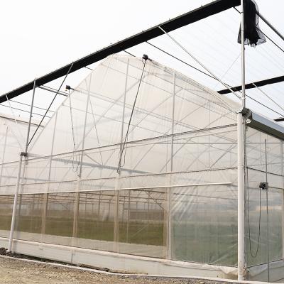 China Outdoor Farming Multi-span Agricultural Vegetable Berry Film Poly Tunnel Greenhouse for sale