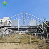 China Low Tunnel Plastic Film Galvanized Steel Frame Structure Greenhouse For Sale for sale