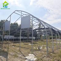 China Low Tunnel Plastic Film Galvanized Steel Frame Structure Greenhouse For Sale for sale