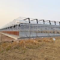 China Multi-span Large Poly Tunnel Plastic Film Tomato Hydroponic Berry Greenhouse for sale