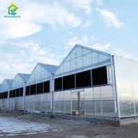 China Custom Size PC Sheet Agricultural Wind Resistant Polycarbonate Tomato Greenhouse for sale