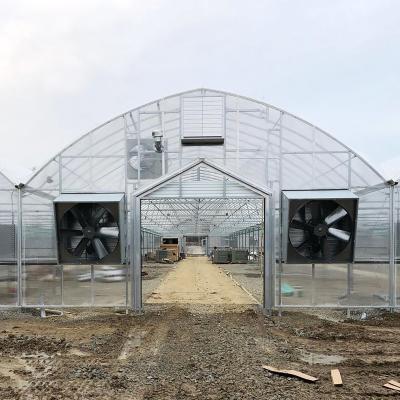 China Multi-span Plastic UV Resistant Film Tunnel Agricultural Blueberry Greenhouse for sale