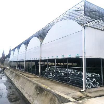 China Steel Tructure Agriculture Large Tunnel Black White Film Light Deprivation Blackout Greenhouse for sale