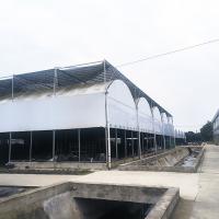China Steel Tructure Agriculture Large Tunnel Black White Film Light Deprivation Blackout Greenhouse for sale