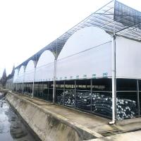 China Smart Light Deprivation Multi-span Black Shade Film Greenhouse for sale