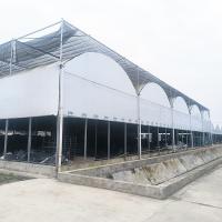 China Smart Light Deprivation Multi-span Black Shade Film Greenhouse for sale