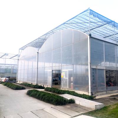 China Agriculture Plastic UV Film Poly Tunnel Multi-span Tomato Smart Greenhouse for sale